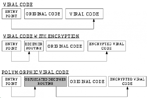 Polymorphic Code - Various Kinds of Polymorphism | CTR - 2020
