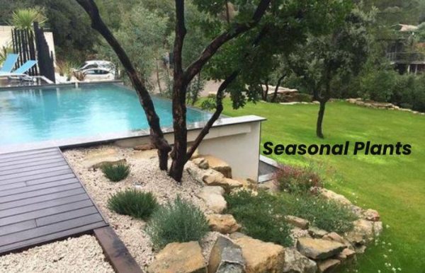 28 Top Ideas for Border Landscaping Around Above Ground Pool